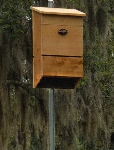 Best Bat Houses For Sale And Where To Install