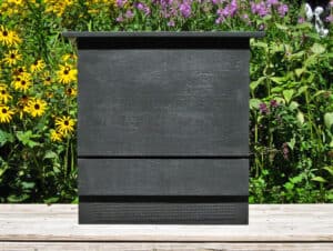 Best Bat Houses For Sale And Where To Install - Squirrels at the Feeder